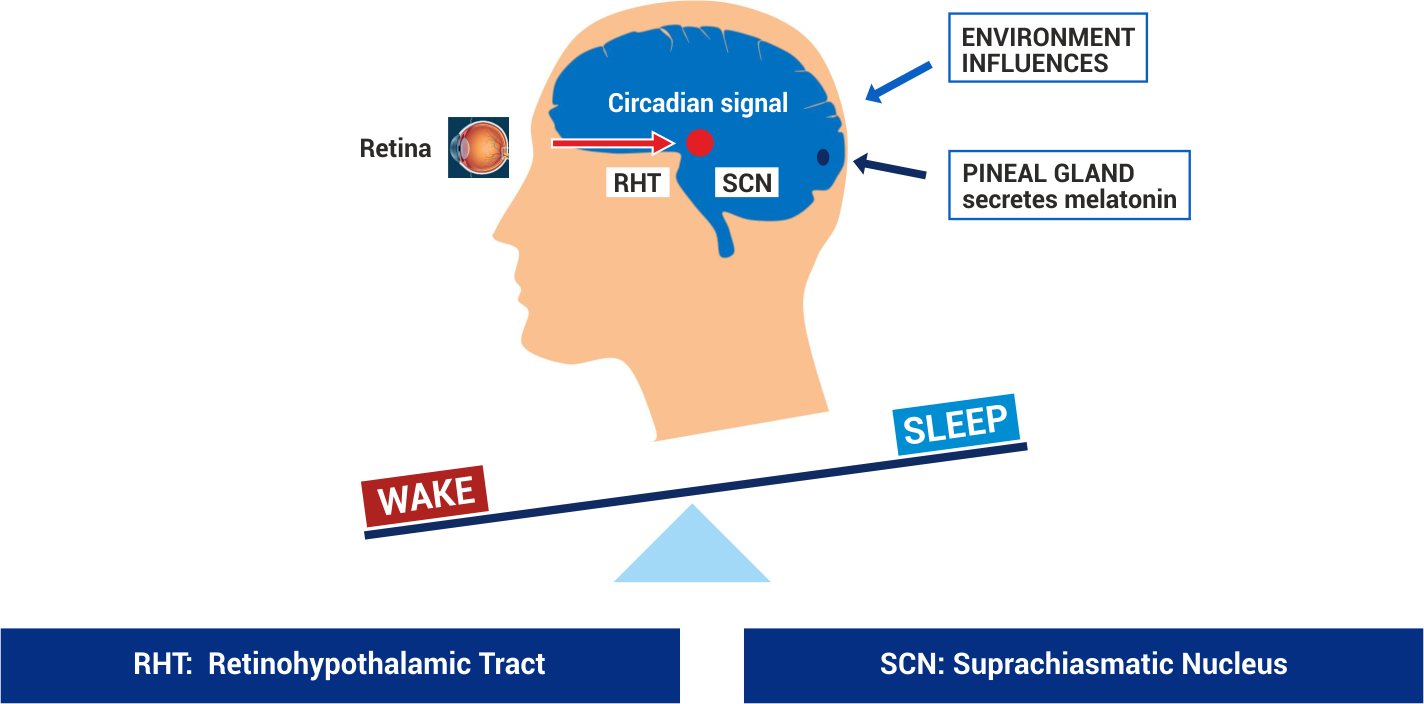 Learn about your sleep - Amara Hospital